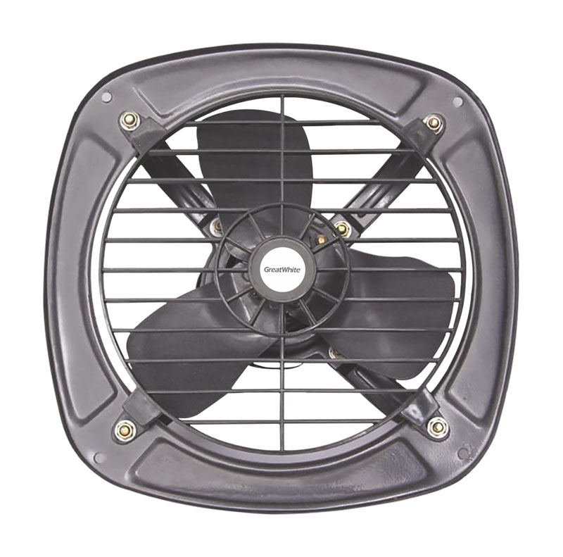 Airus Fan | GreatWhite